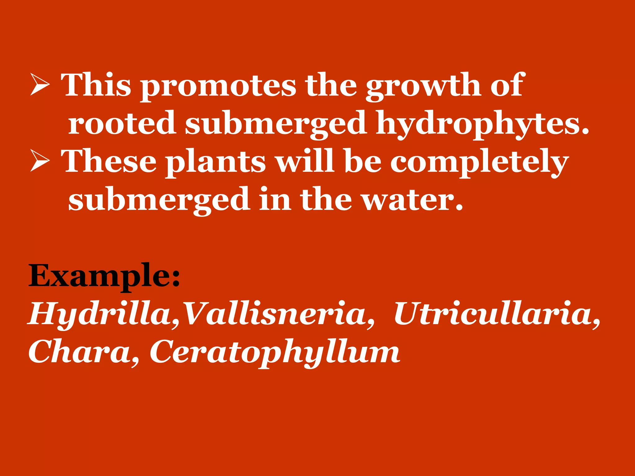 Hydrosere (Hydrarch Succession) | PPTX