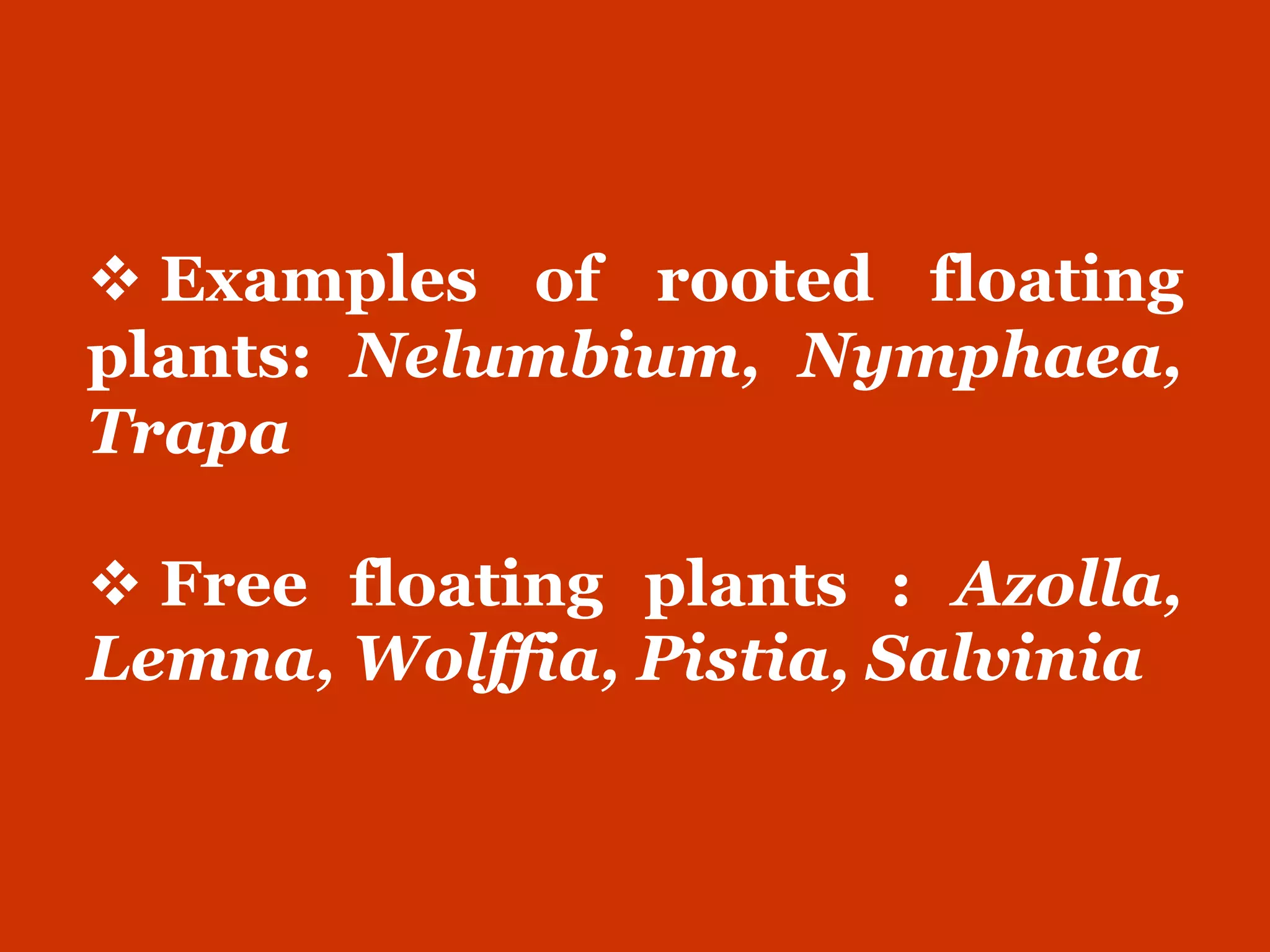 Hydrosere (Hydrarch Succession) | PPTX