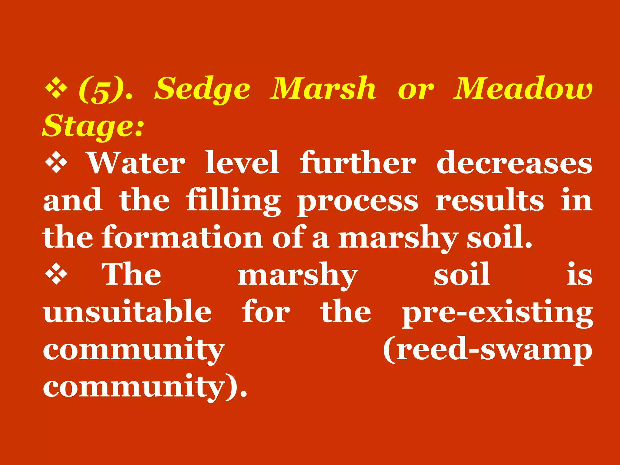 Hydrosere (Hydrarch Succession) | PPTX
