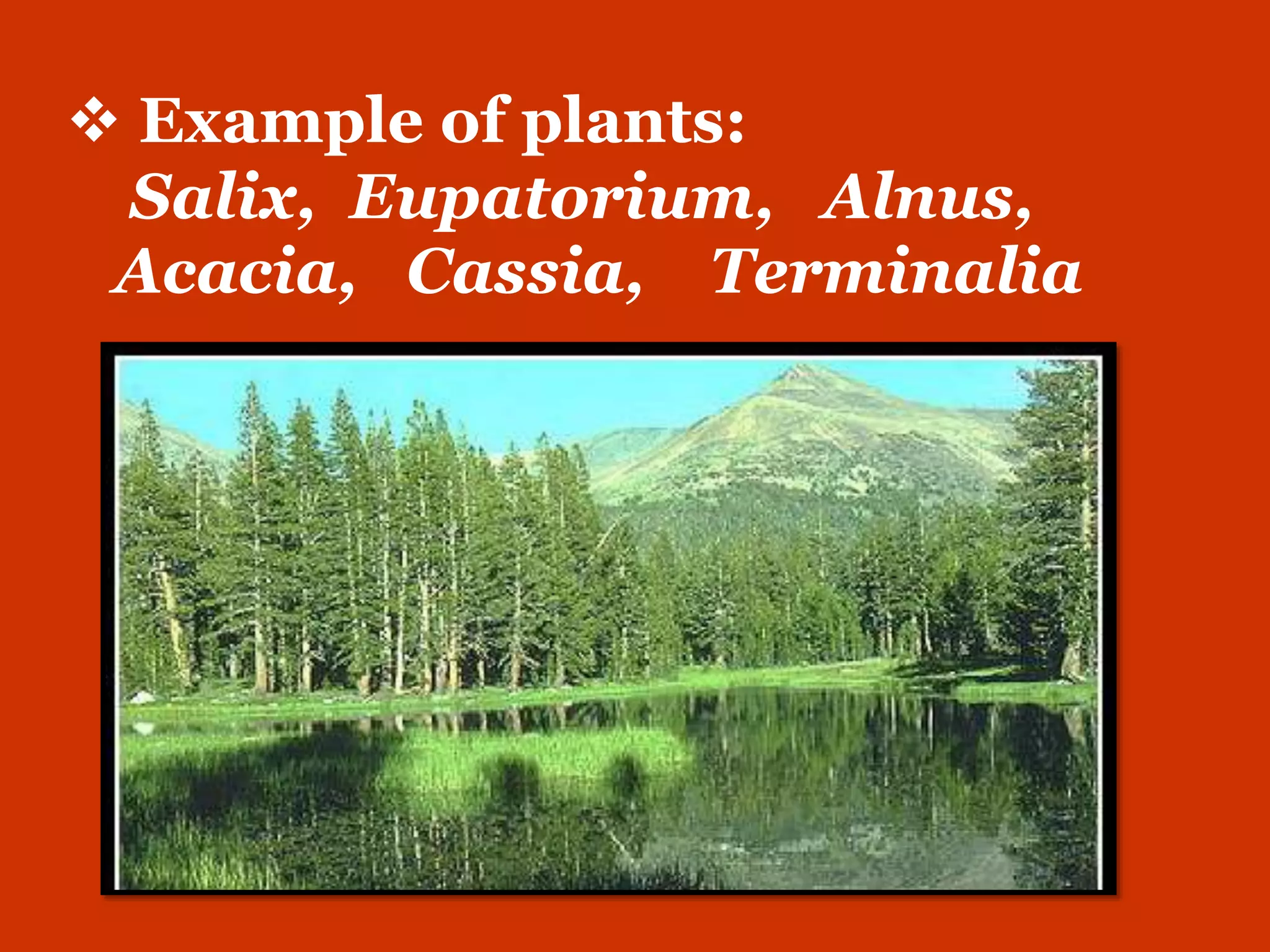 Hydrosere (Hydrarch Succession) | PPTX