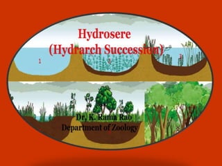 Hydrosere (Hydrarch Succession) | PPTX
