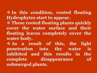 Hydrosere (Hydrarch Succession) | PPTX