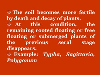 Hydrosere (Hydrarch Succession) | PPTX