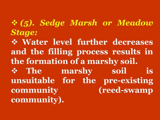 Hydrosere (Hydrarch Succession) | PPTX