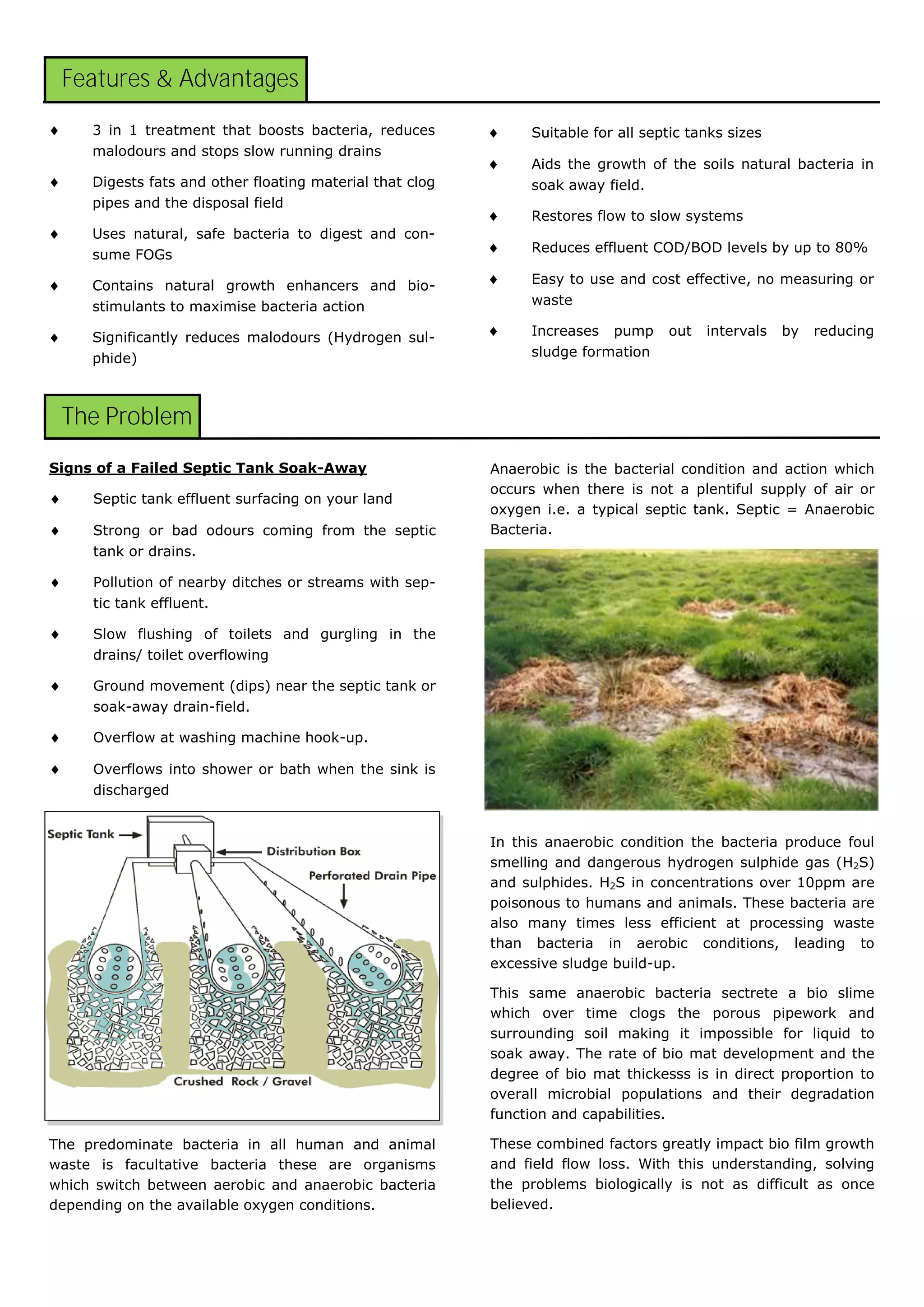 Hydra Re-Gen Prevents Drains Clogging | PDF