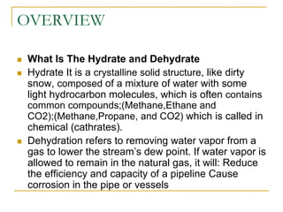 Hydrate | PDF