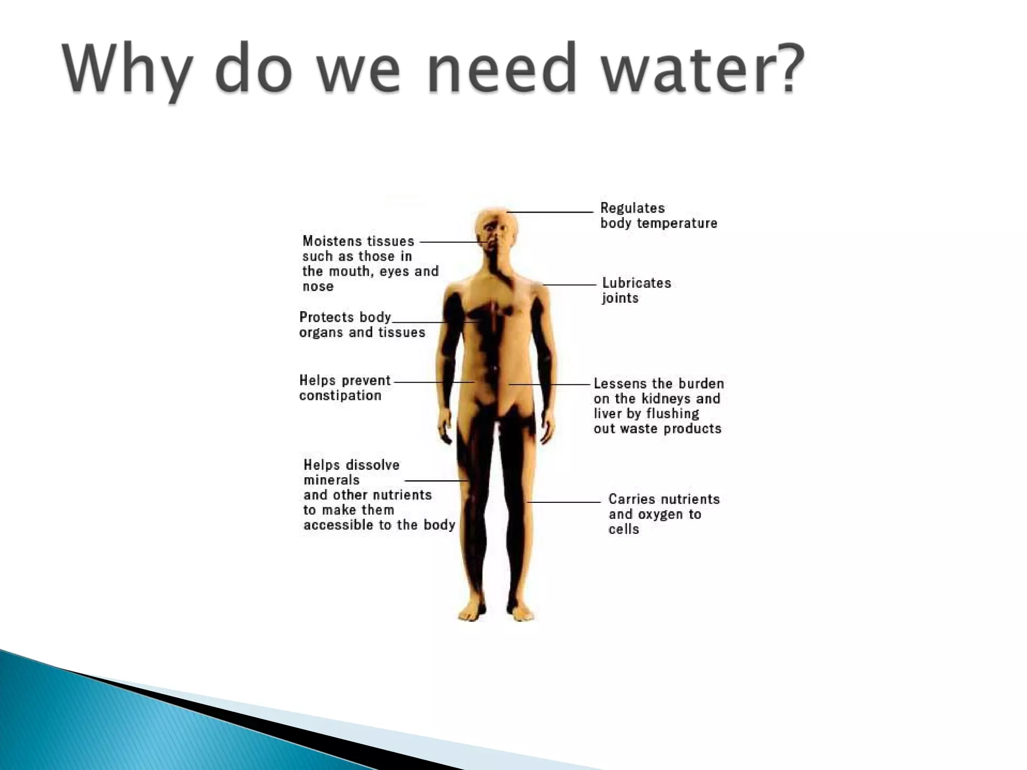Hydration | PPT