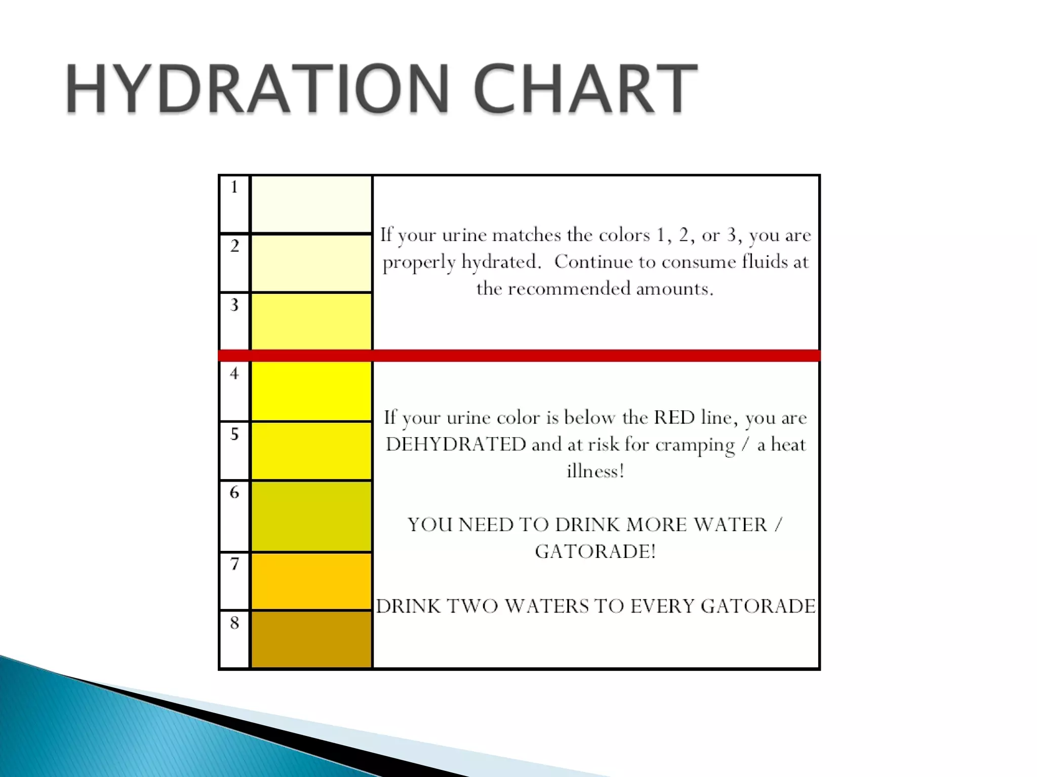 Hydration | PPT