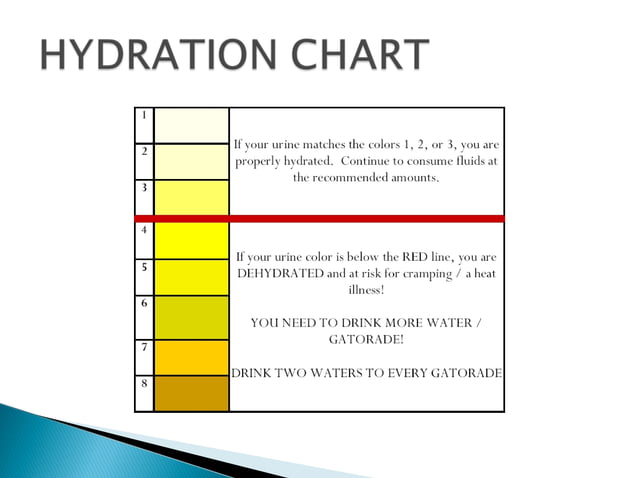 Hydration | PPT