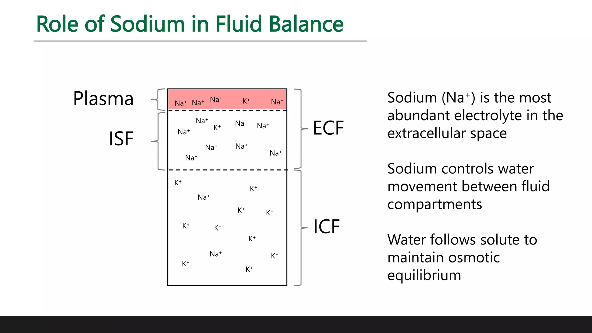 hydration-assessment-and-recommendations.pptx