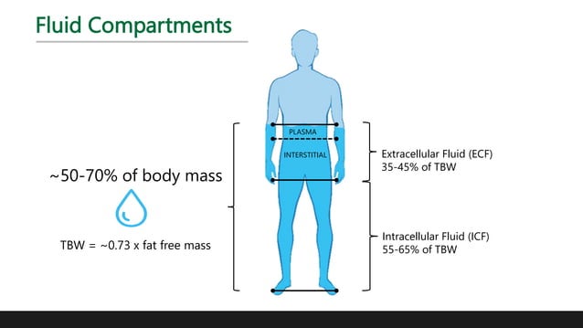hydration-assessment-and-recommendations.pptx