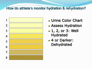 Hydration and the role of Sports Drinks | PPTX