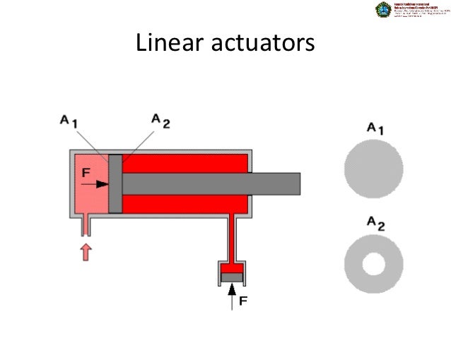 Cutaway View Of Hydraulic Linear Actuators