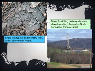 Hydraulic fracturing bb | PPTX