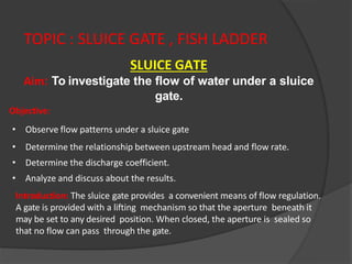 Hydraulic Structure Deep Hazam.pdf