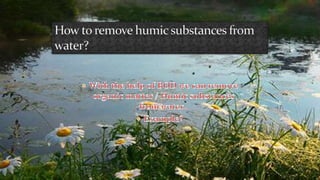 Humic Substances in water | PPTX