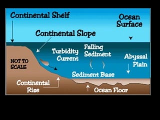 Hydro Salt | PPT | Geography | Science
