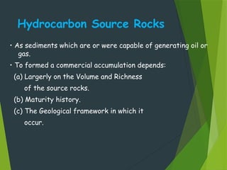 Hydrocarbon-Source-Rocks-Presentation-pptx | PPTX