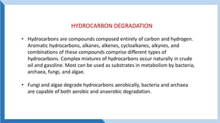 Hydrocarbon Degradation- type of hydrocarbon Degradation | PDF | Chemistry | Science