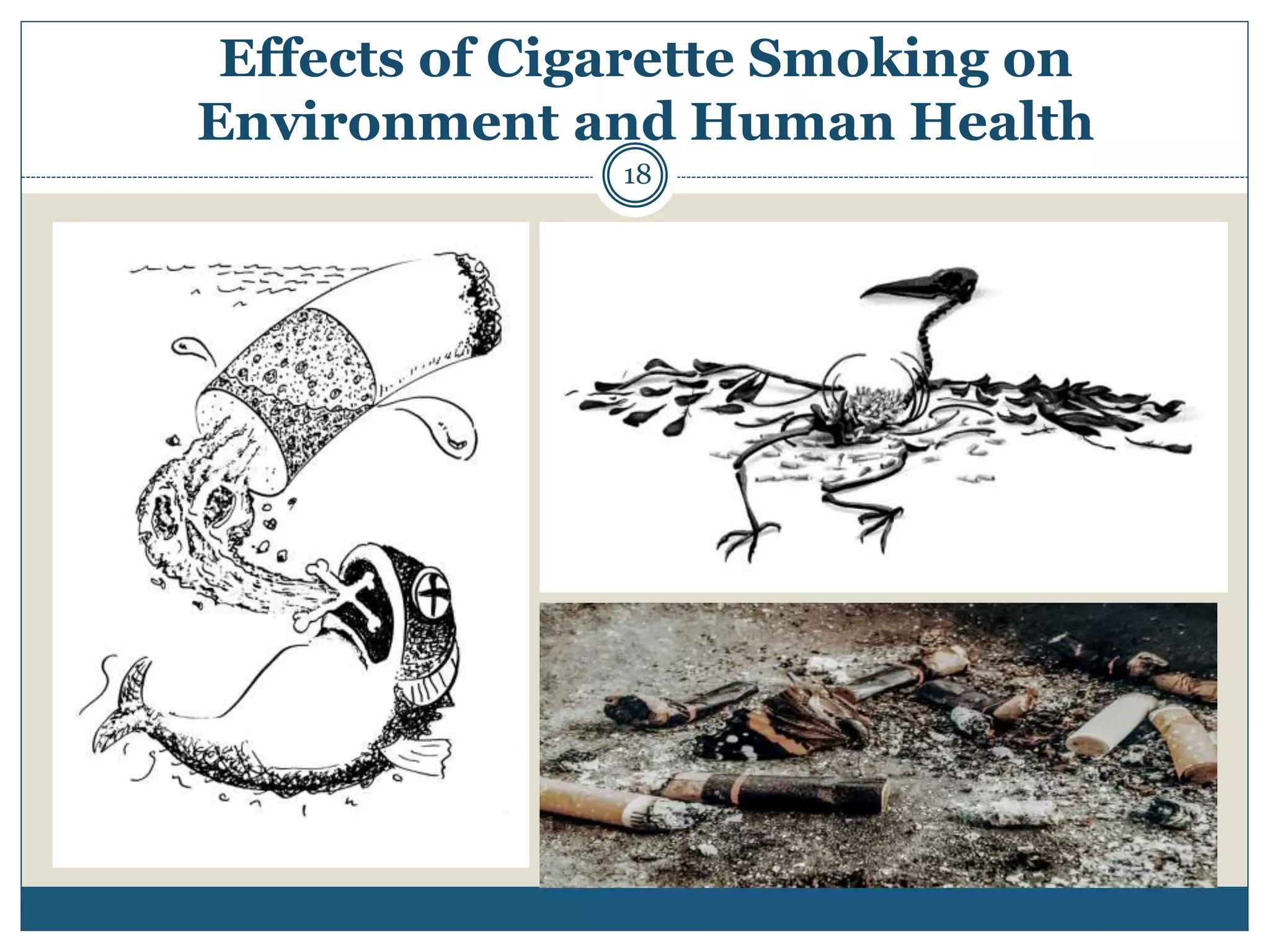 Environmental Pollutants (Hydrocarbons, Cigarettes, Smokes) | PPTX
