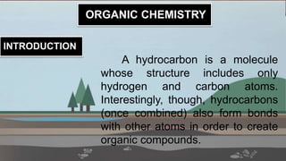 Hydrocarbons (Report).pptx