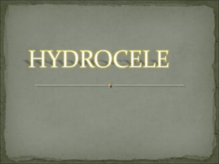 Hydrocele | PPT