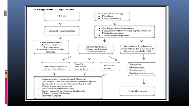 Hydrocele management