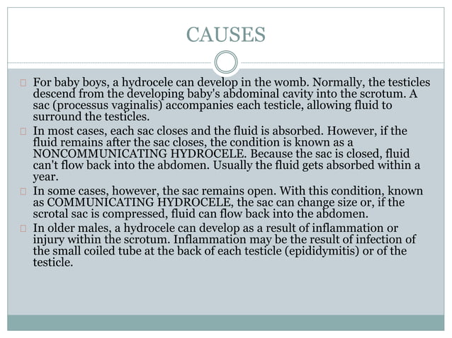 Hydrocele | PPTX