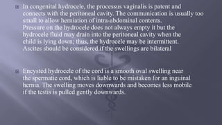 Hydrocele | PPTX