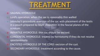 Hydrocele | PPTX