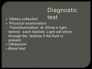 Hydrocele For Nursing Student Under Medical Surgical Nursing For G.N.M ...
