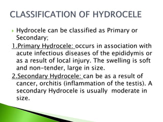 HYDROCELE.pptx | Infertility | Reproductive Health