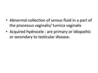 HYDROCELE.pptx999999999999999999999999999999999999 | PPT