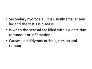HYDROCELE.pptx999999999999999999999999999999999999 | PPT