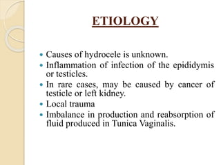 A lecture slide onHydrocele.pptx for nursing students | PPTX