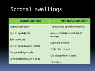 HYDROCELE , complications and its management | PPTX