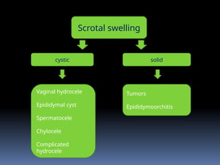 HYDROCELE , complications and its management | PPTX