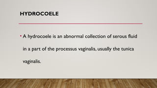 HYDROCELE - anatomy and management of hydrocele | PPTX