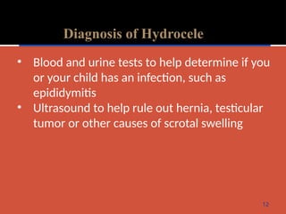 hydrocele mbbs topic new ppt uploded by dev | PPTX | Infertility ...