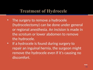 hydrocele mbbs topic new ppt uploded by dev | PPTX | Infertility ...