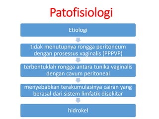 Hydrocele hidrokel anak optek aai | PPTX