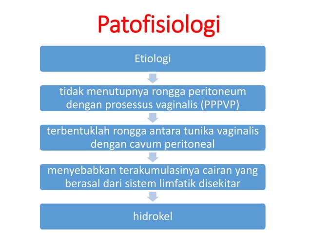 Hydrocele hidrokel anak optek aai | PPTX