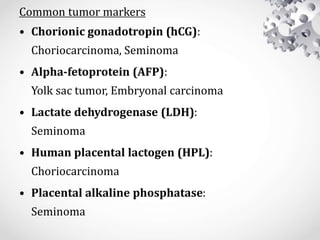 Hydrocele and tumors of testis Introduction.pptx