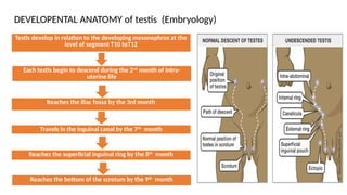 Hydrocele types and examination and management | PPTX