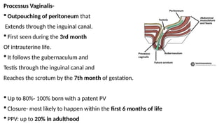 Hydrocele types and examination and management | PPTX