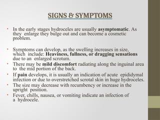Comprehensive Overview of Hydrocele: Causes, Diagnosis, and Treatment ...
