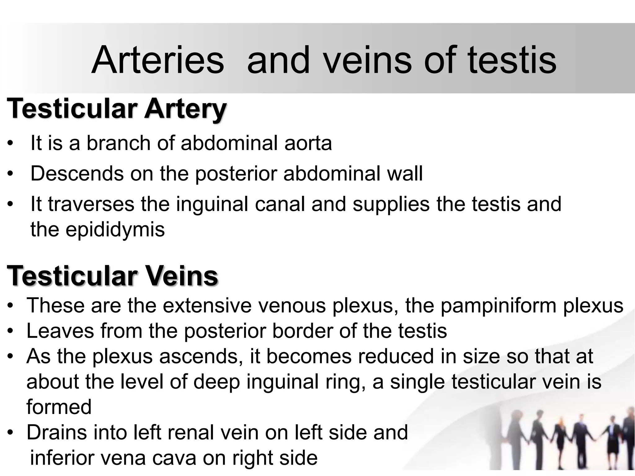 Hydrocele- All types & treatment options | PPTX
