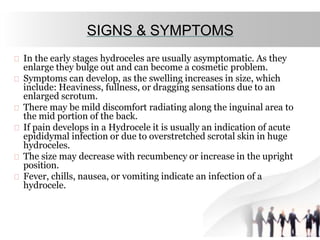 Hydrocele- All types & treatment options | PPTX