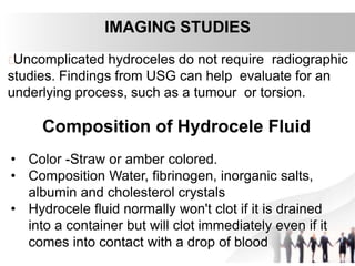 Hydrocele- All types & treatment options | PPTX