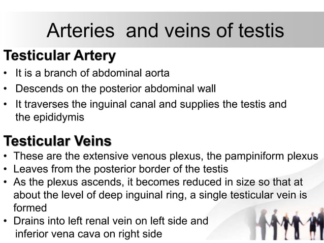 Hydrocele- All types & treatment options | PPTX